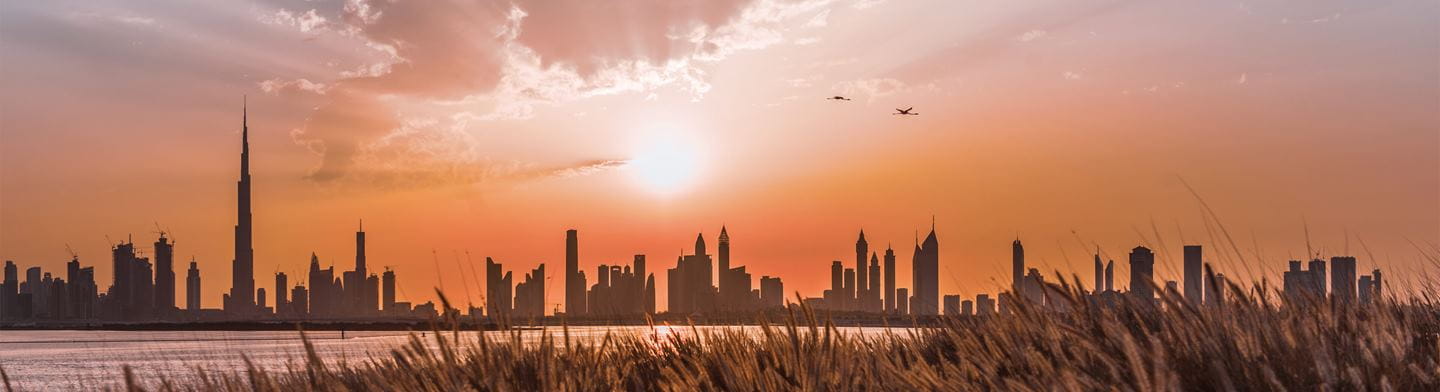 Logistics solutions across UAE | DSV