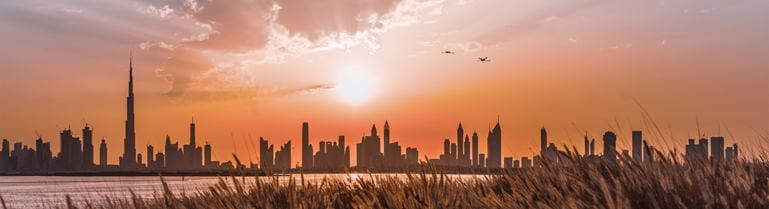 Logistics solutions across UAE | DSV