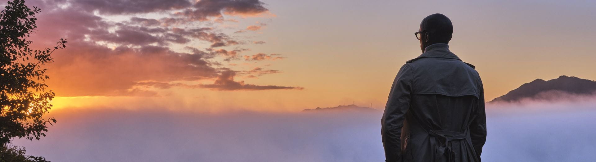 DSV Careers: Transport & Logistics Opportunities