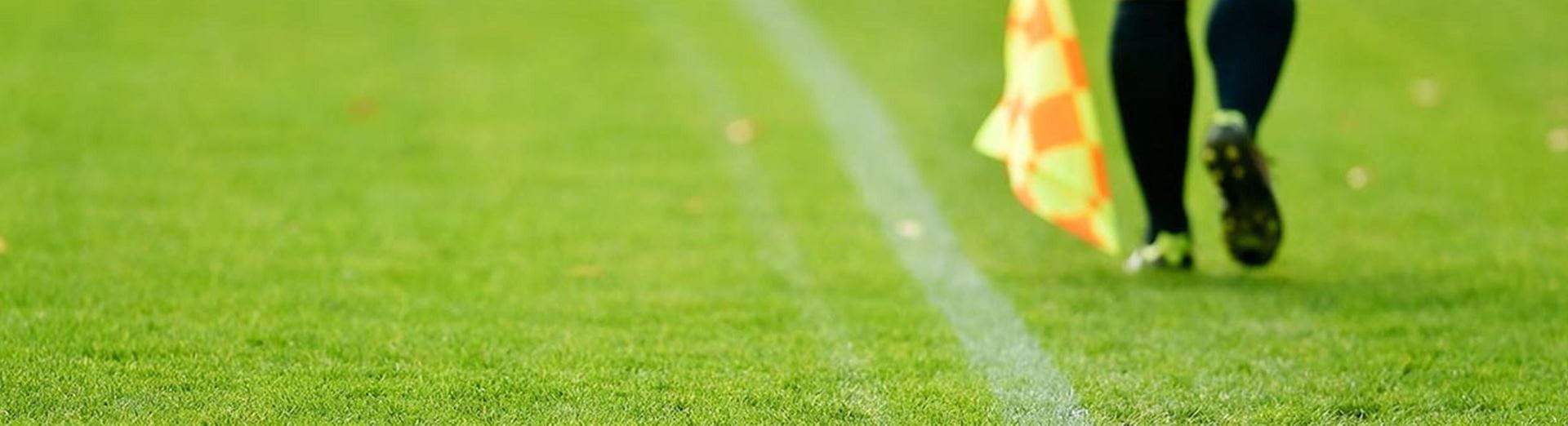 Temperaturgeregelt: Wie Rasen transportiert wird | DSV