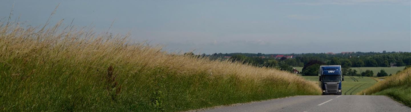 EU Election, inflation, supply chain challenges | DSV