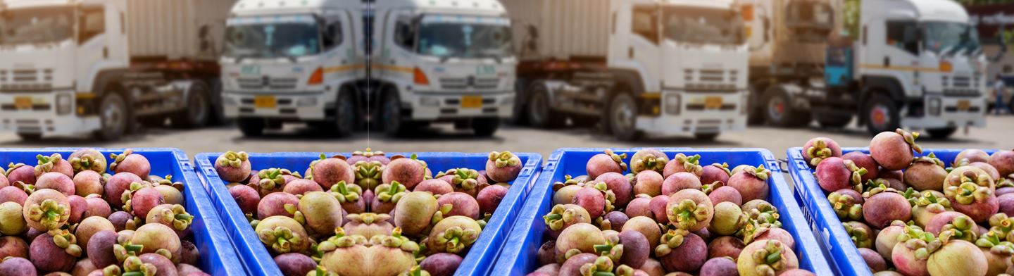 Shipping perishables under temperature control | DSV