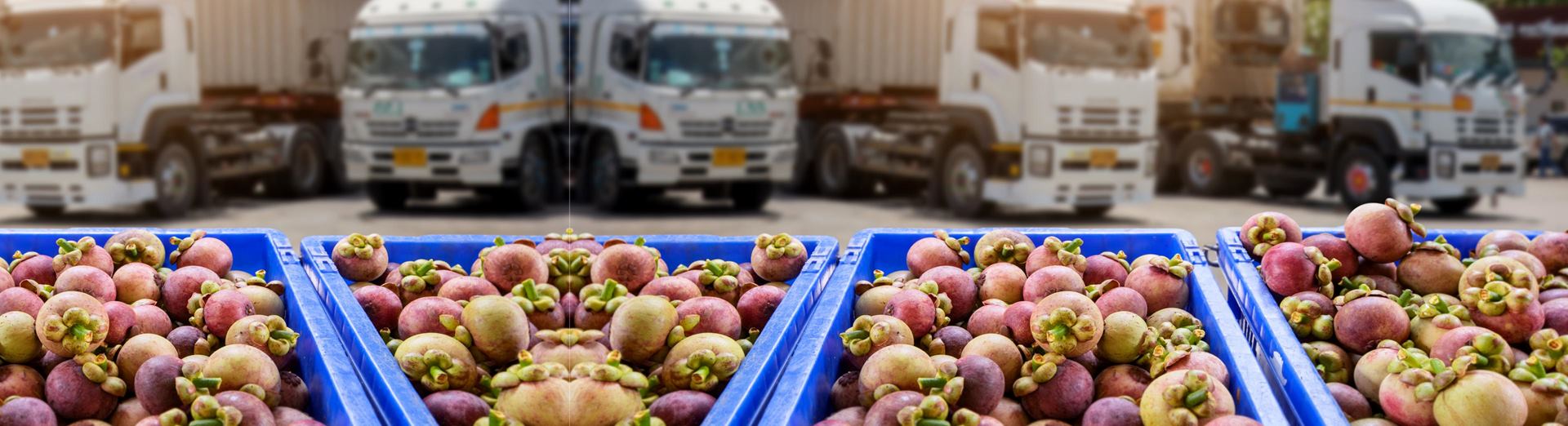 Shipping perishables under temperature control | DSV