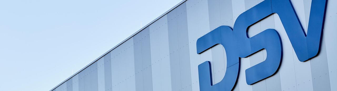 What does DSV stand for? The name's meaning | DSV
