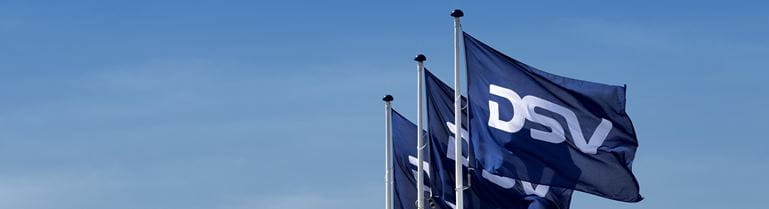 Términos y condiciones de DSV Protect | DSV