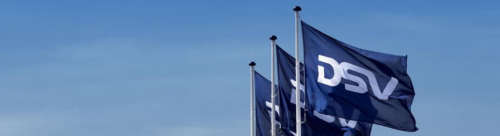 Terms and conditions for DSV Protect | DSV