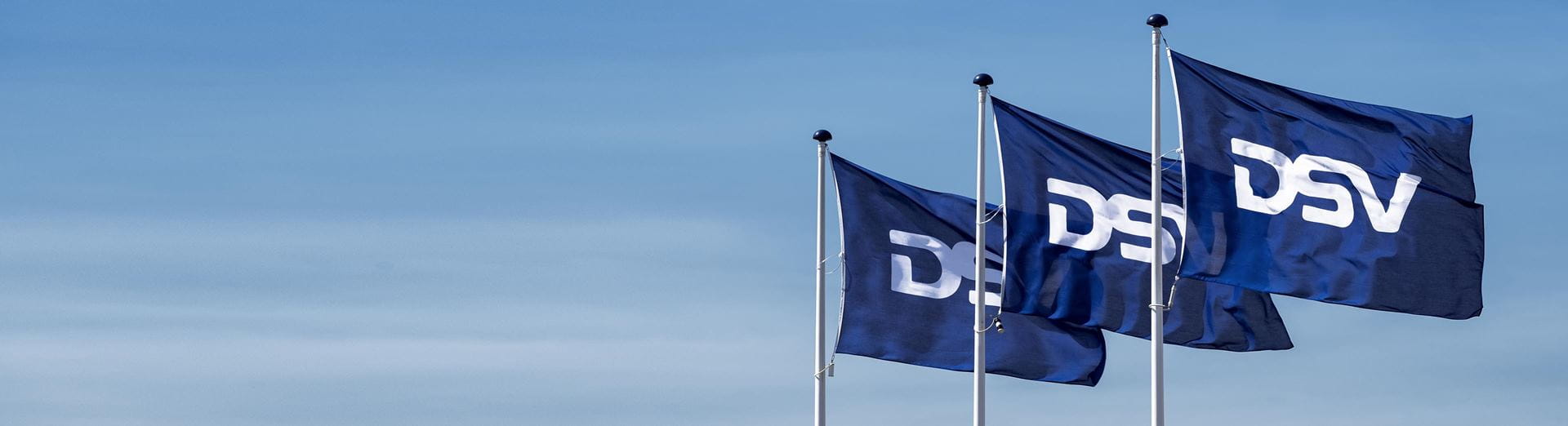 O společnosti DSV a našich službách | DSV