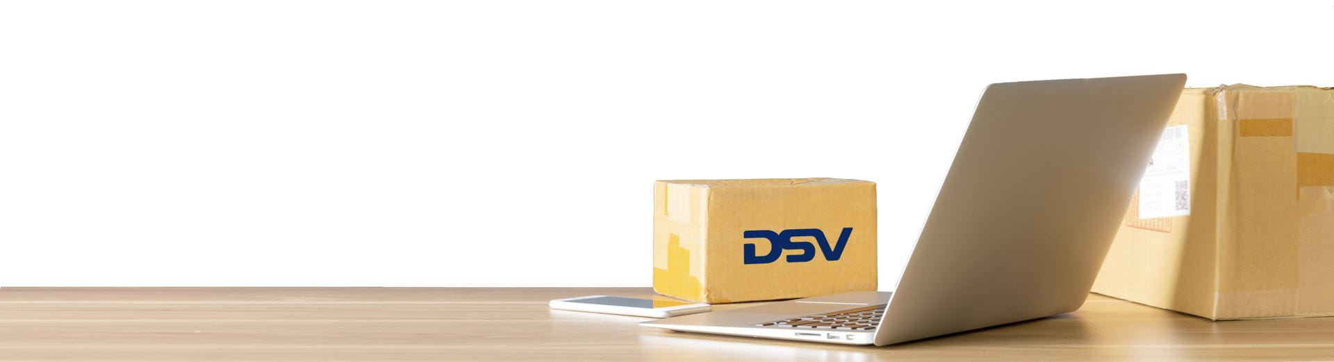 数字化、信息技术集成和解决方案 | DSV