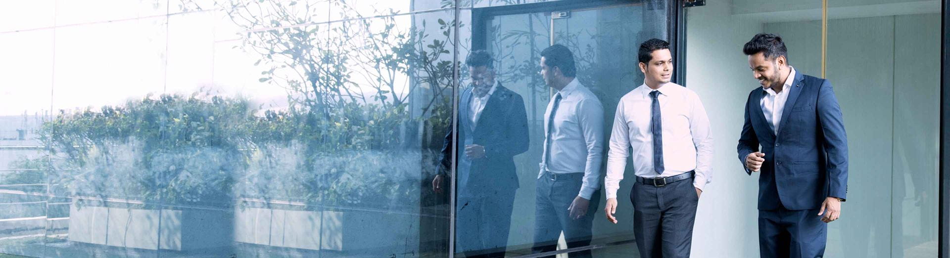 Expert opinion papers | DSV