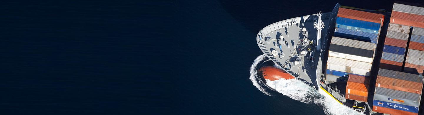 Supply chain risk management | DSV