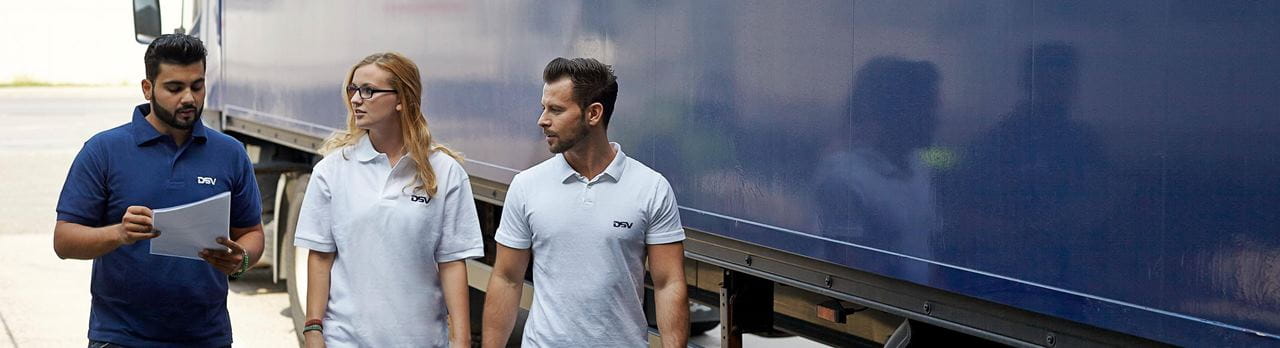 Get Started Easily | DSV