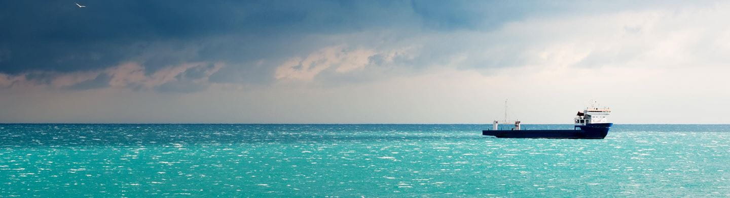 Reefer container dimensions, sizes & specs | DSV