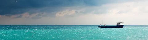 Reefer container dimensions, sizes & specs | DSV