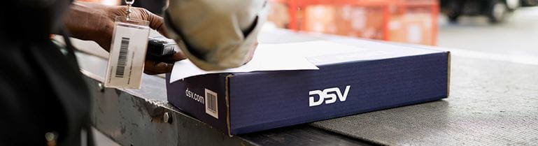 Indian Customs Regulations - Expert Insight | DSV India