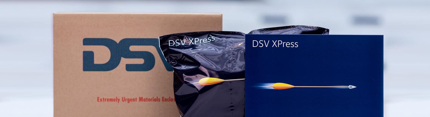 L'essentiel de nos services DSV XPress|DSV