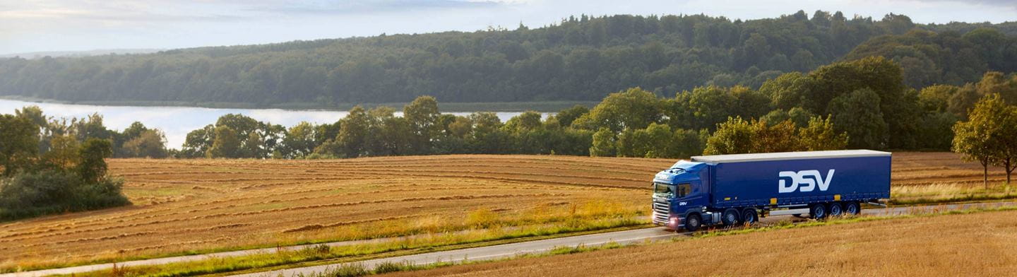 Transport af varer på paller | DSV