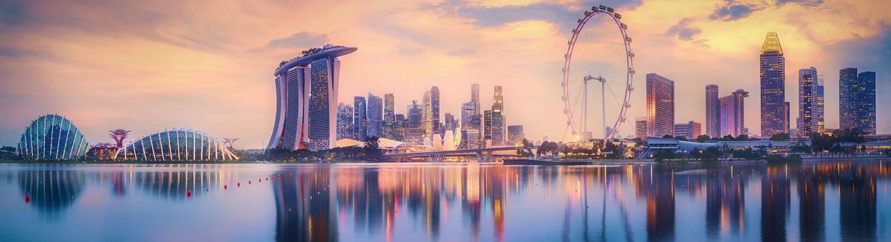 Transporte aéreo y marítimo con Singapur | DSV