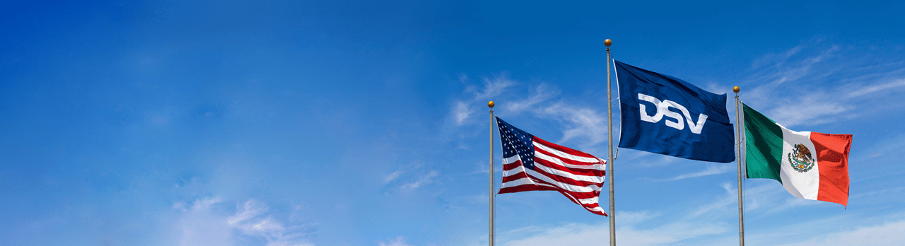 OptiMex | DSV
