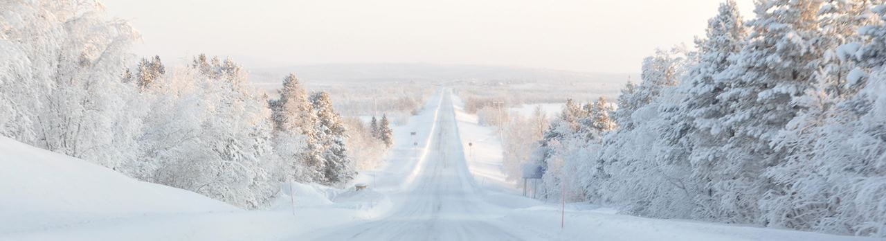 Transporte mercancías paletizadas Finlandia | DSV