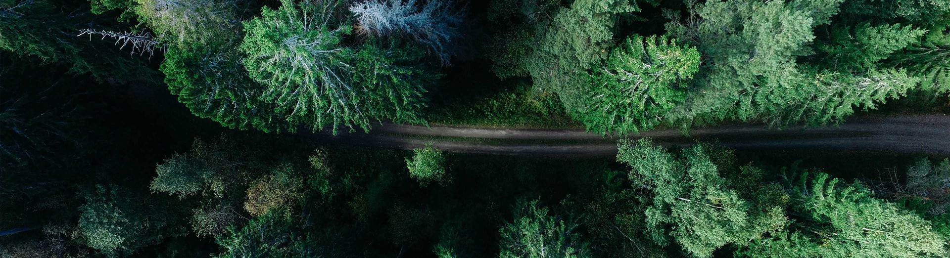 Transport to and from Sweden by road | DSV UK