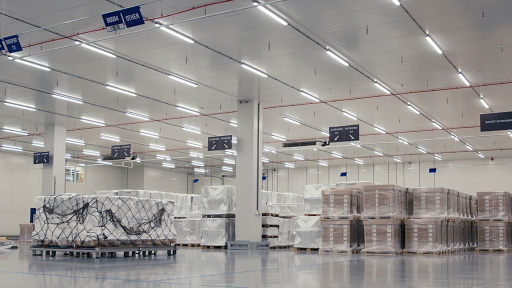 P1P/PAG palletafmetingen | DSV Transport en Logistiek