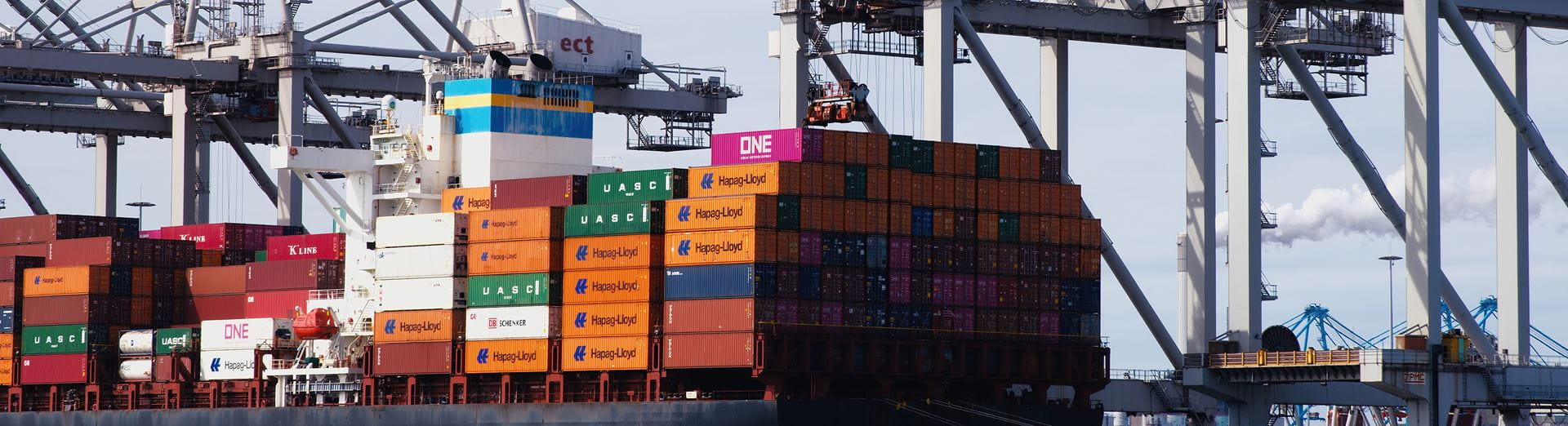 Less than Container Load | DSV Transport en Logistiek