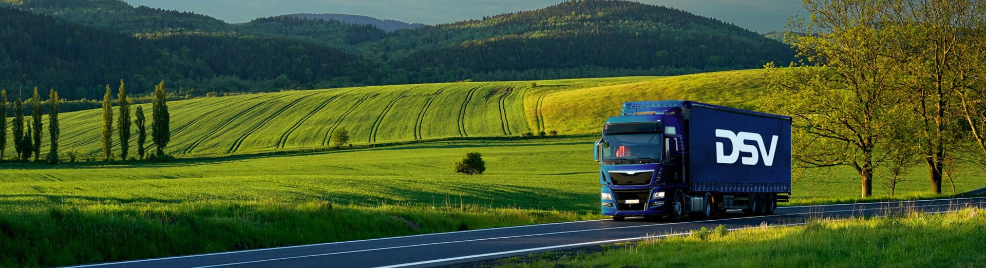 Globalny Transport i Logistyka | DSV