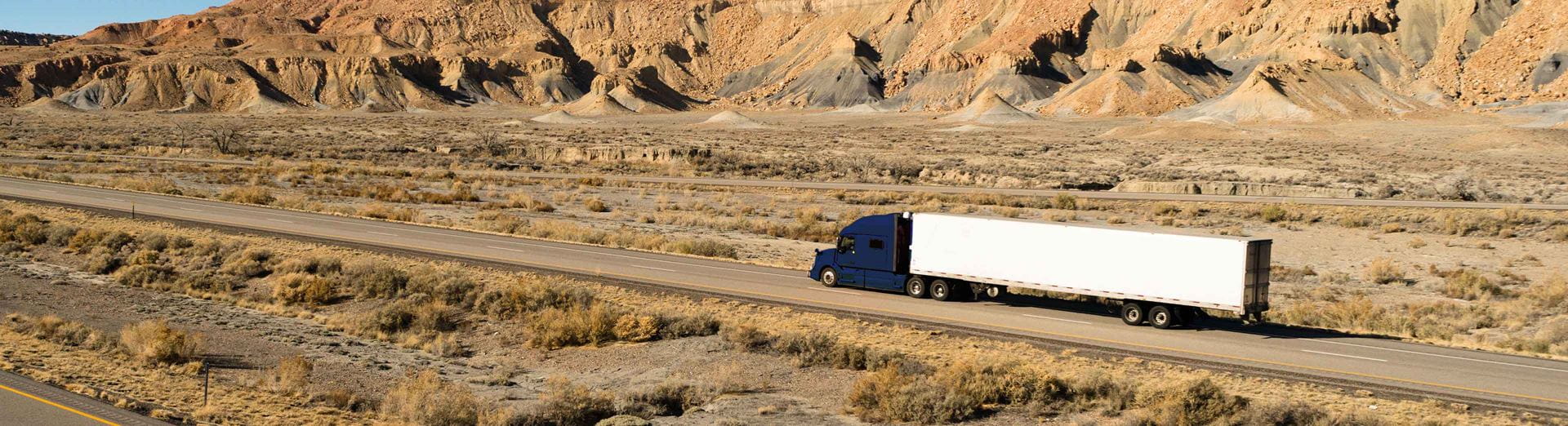 Road transport services for ground shipments | DSV