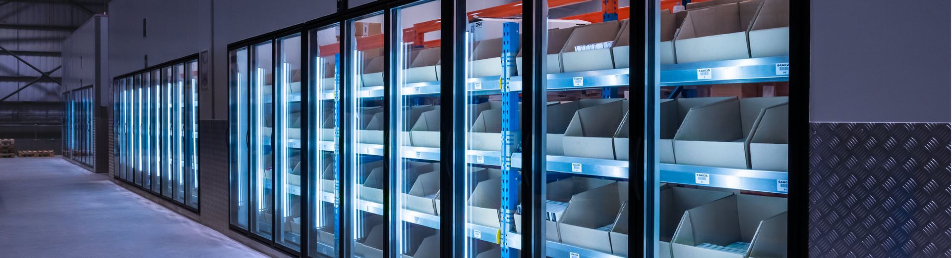 Our expert approach to Cold Chain Logistics | DSV