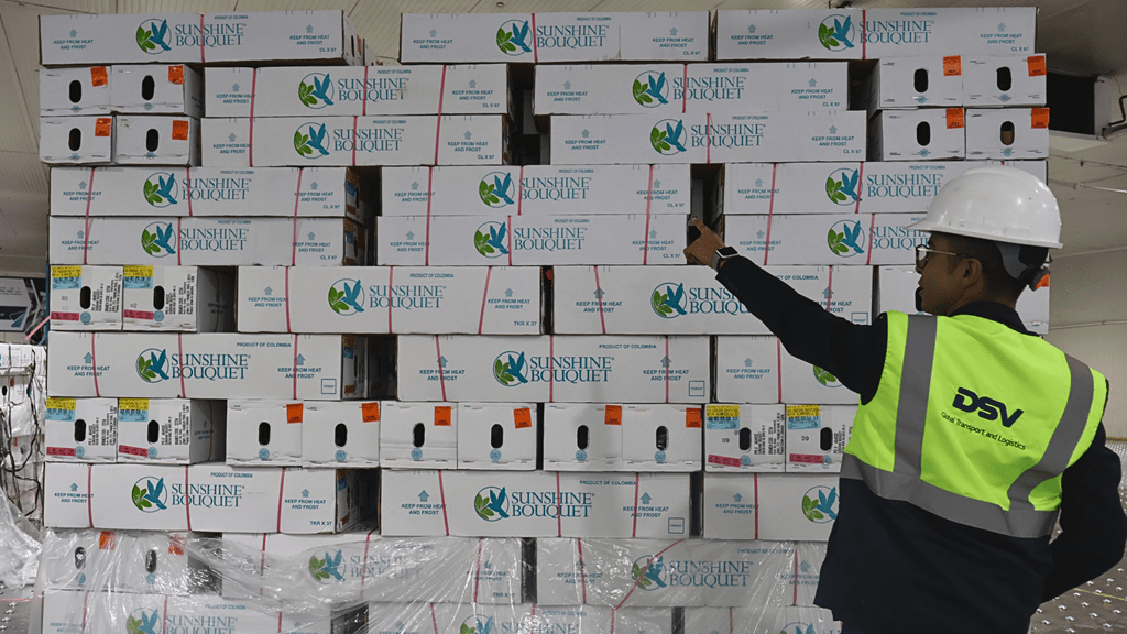 DSV en Colombia lleva el amor alrededor del mundo con 10,700 toneladas de flores exportadas para ...