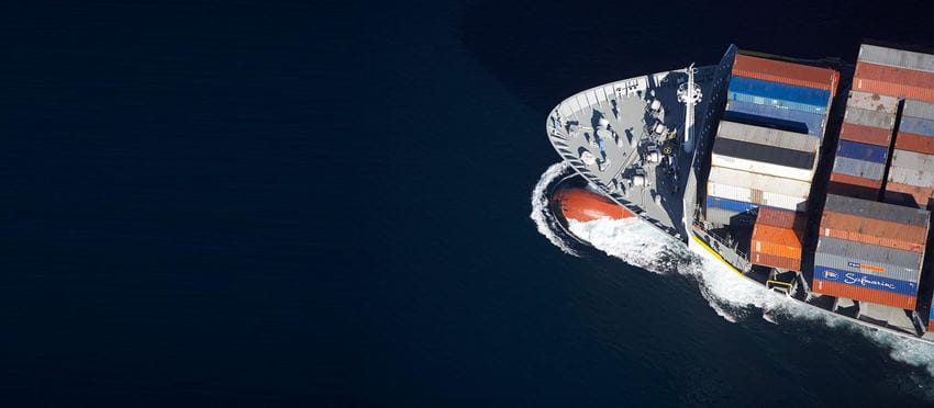 Forced Labor Task Force Publishes Strategy | DSV