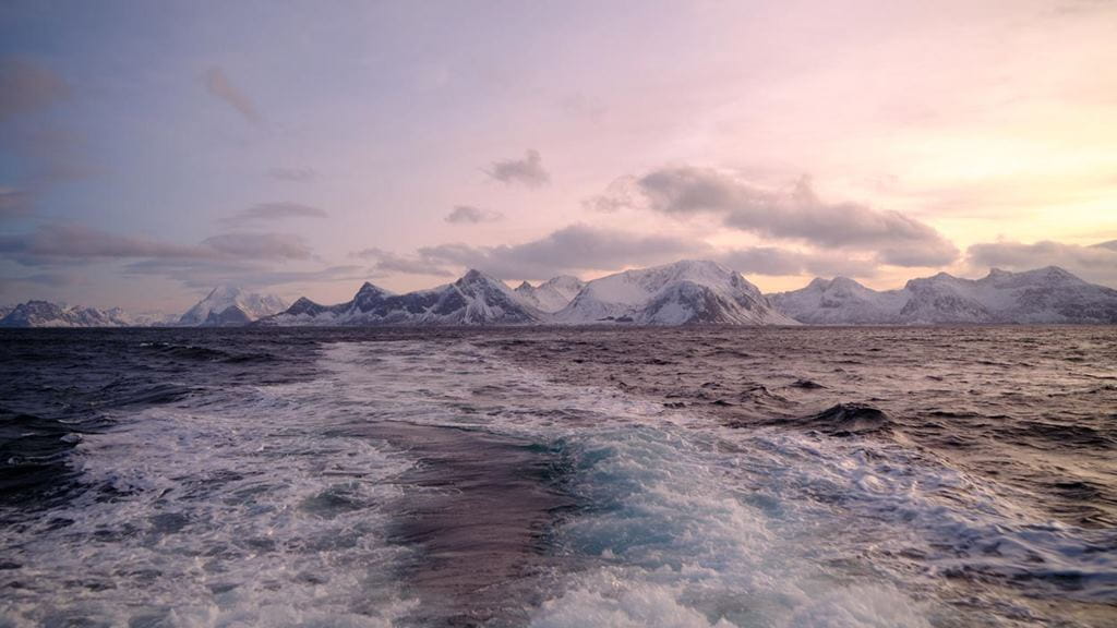 Less-than-container load services | DSV