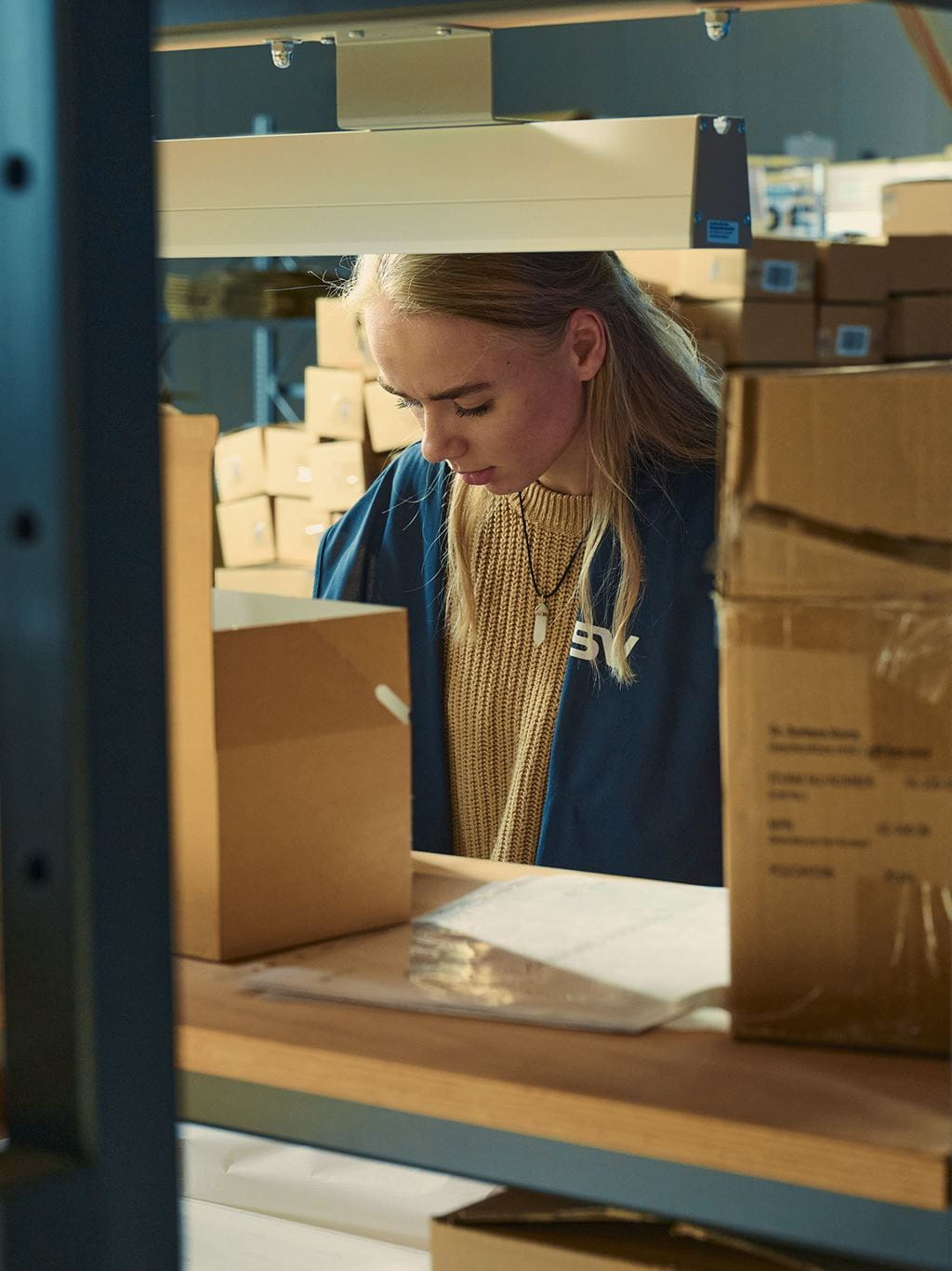 Logistics trainee - Dive into Global Logistics | DSV