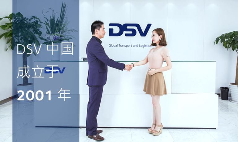 关于DSV 和我们的服务 | DSV