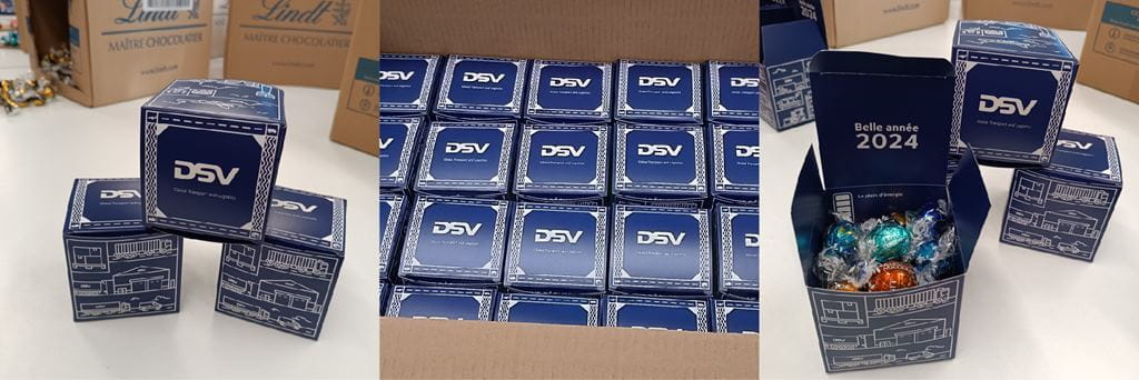 DSV confie une nouvelle mission à l’ESAT de Montigny