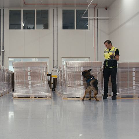 Transport Denmark | DSV Transport and Logistics