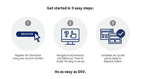 You sell online. We’ll deliver | DSV
