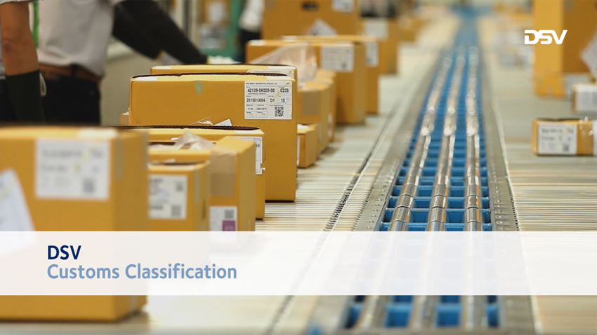 Customs Classification | DSV