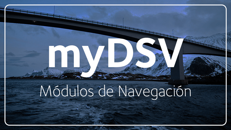 Tutoriales de myDSV | DSV