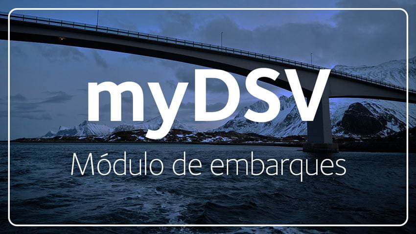 Tutoriales de myDSV | DSV