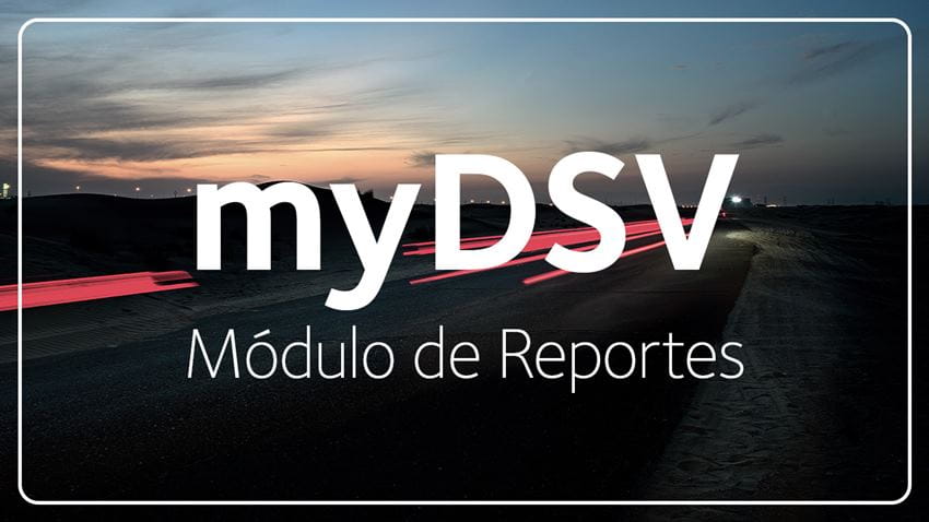 Tutoriales de myDSV | DSV