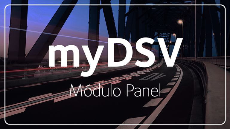 Tutoriales de myDSV | DSV