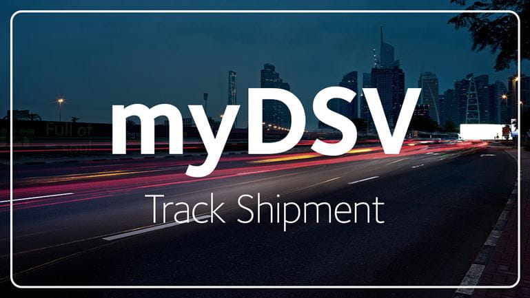 Tutoriales de myDSV | DSV